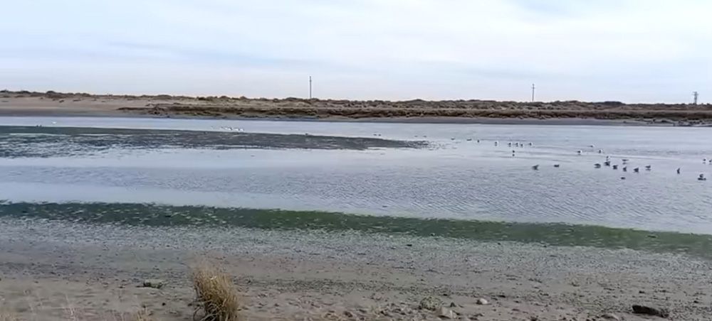 Impactante baja del Río Chubut en El Elsa