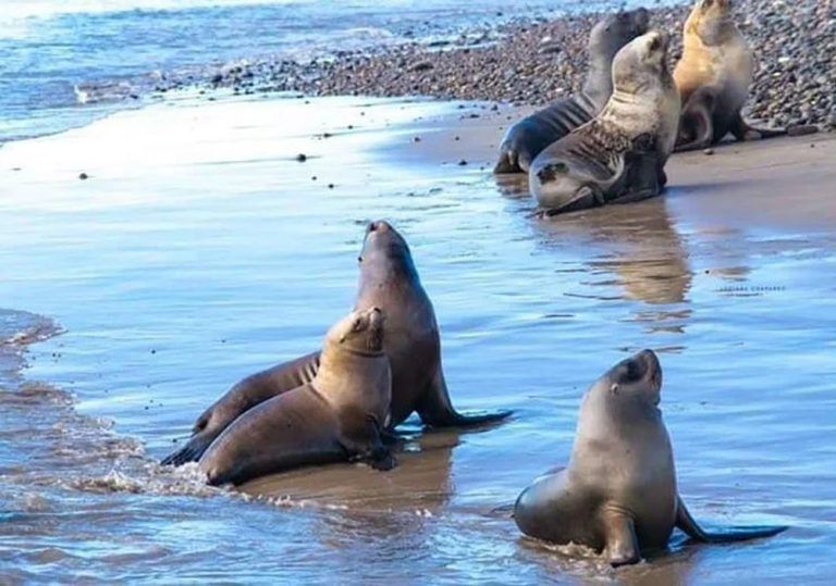 Rawson invitó a visitar Playa Unión este fin de semana