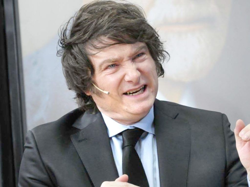 Milei dijo que si fuera Presidente eliminaría la promoción industrial ...