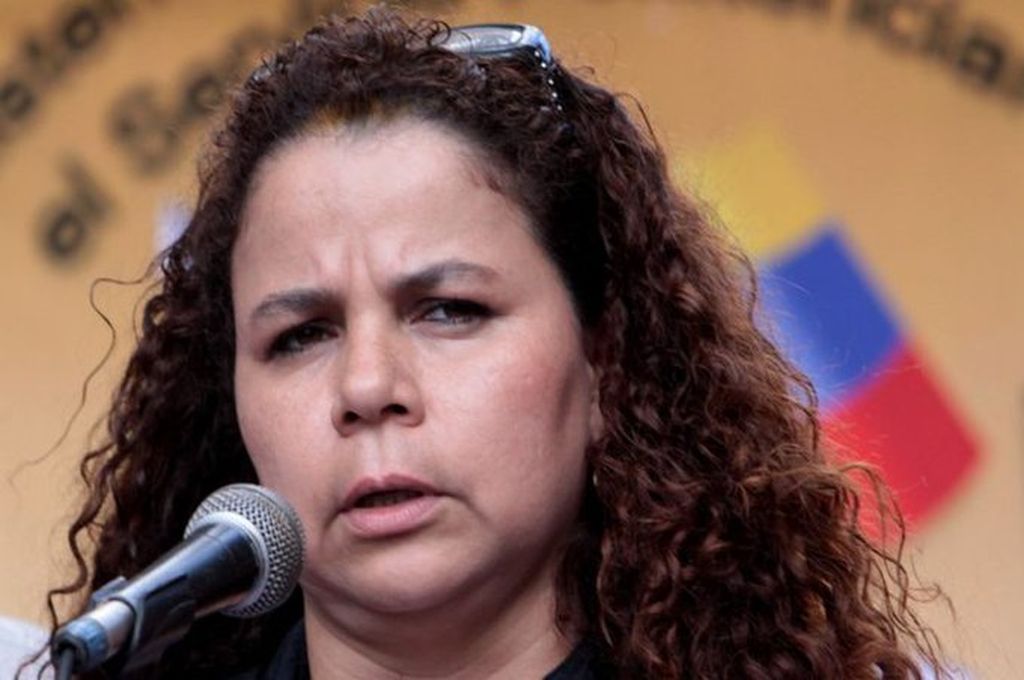 El Gobierno le impidió el ingreso al país a una diputada chavista ...