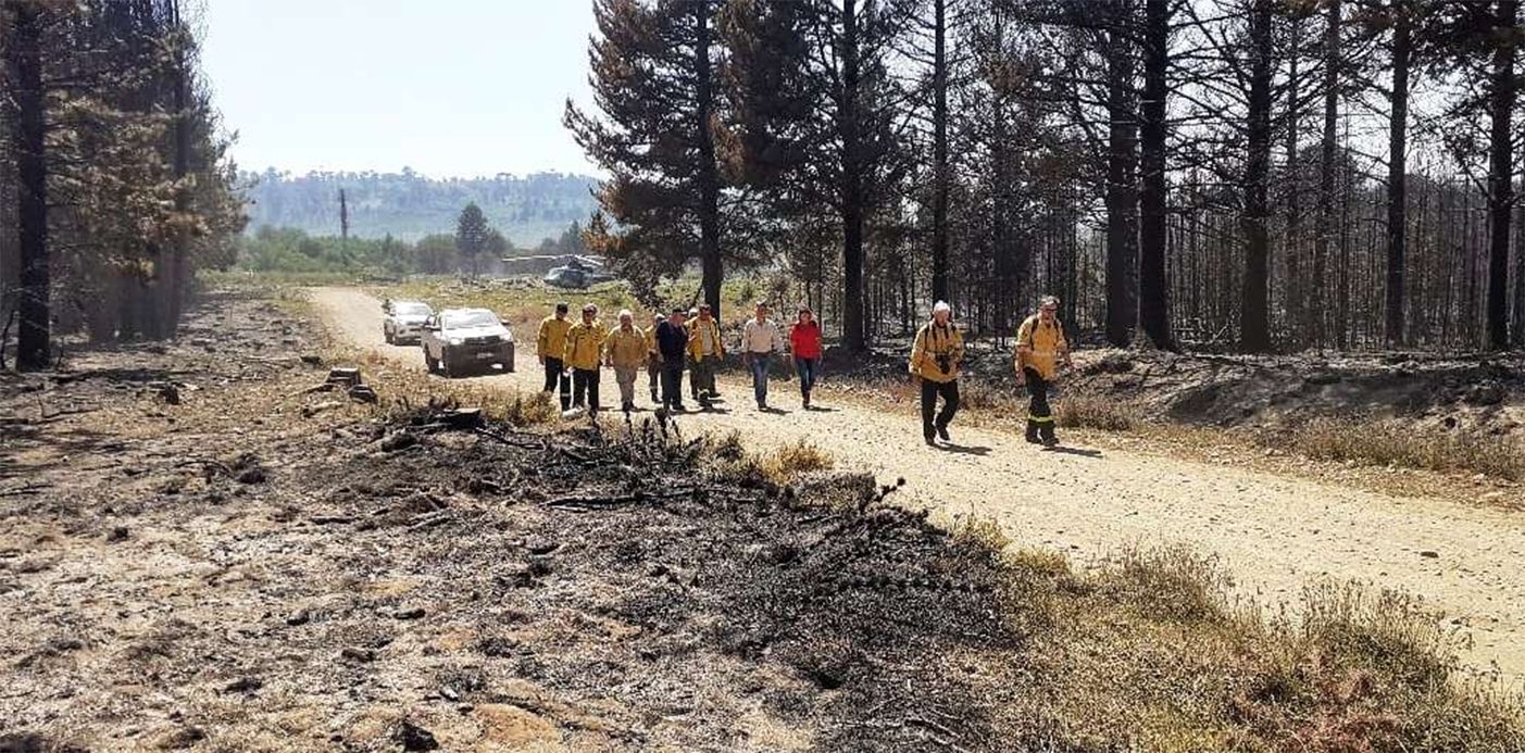 Restaurarán un bosque nativo incendiado en Neuquén - Radio 3 Cadena ...