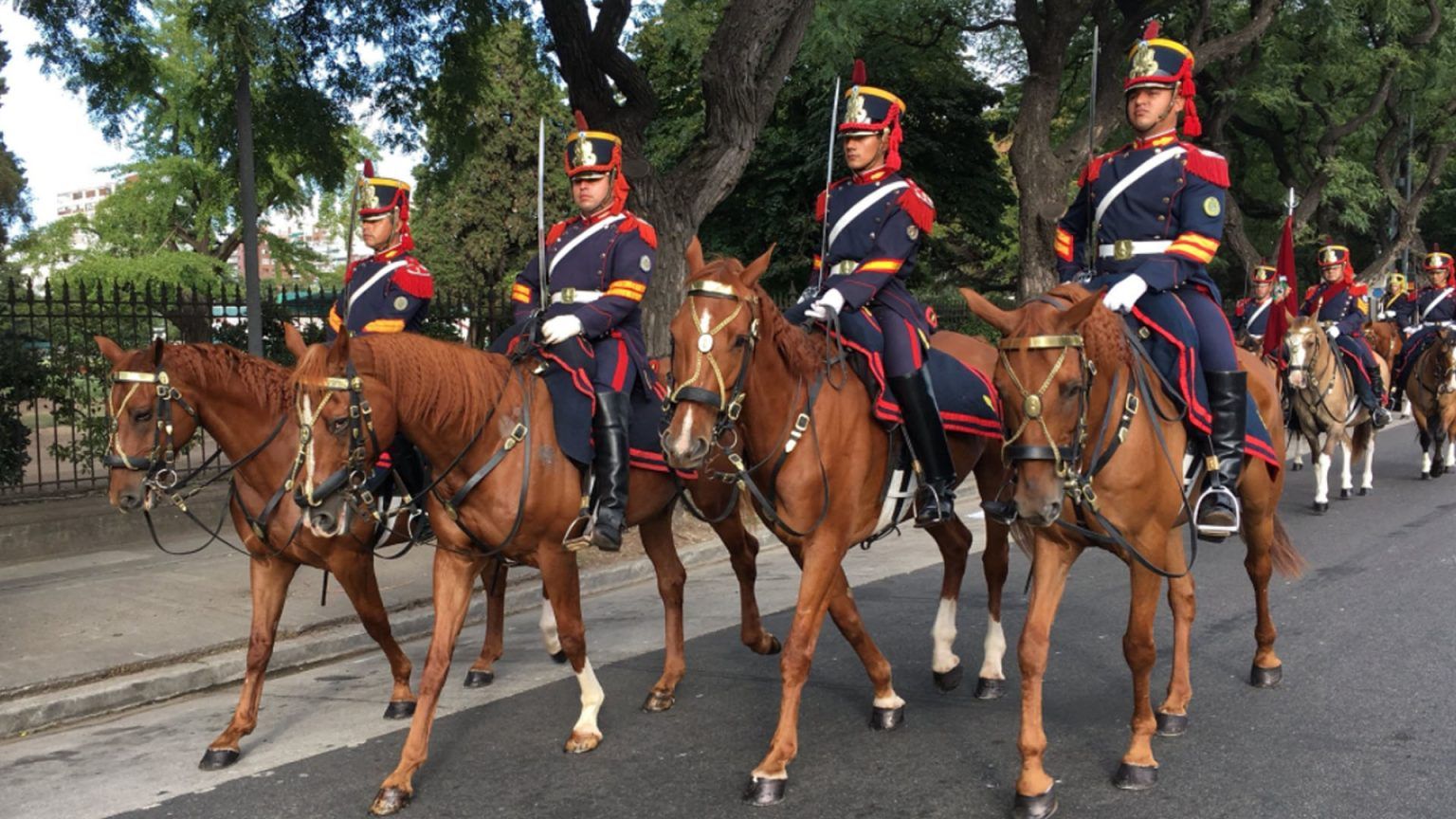 Granaderos: ¿Cómo viven los caballos entrenados para ser escolta ...