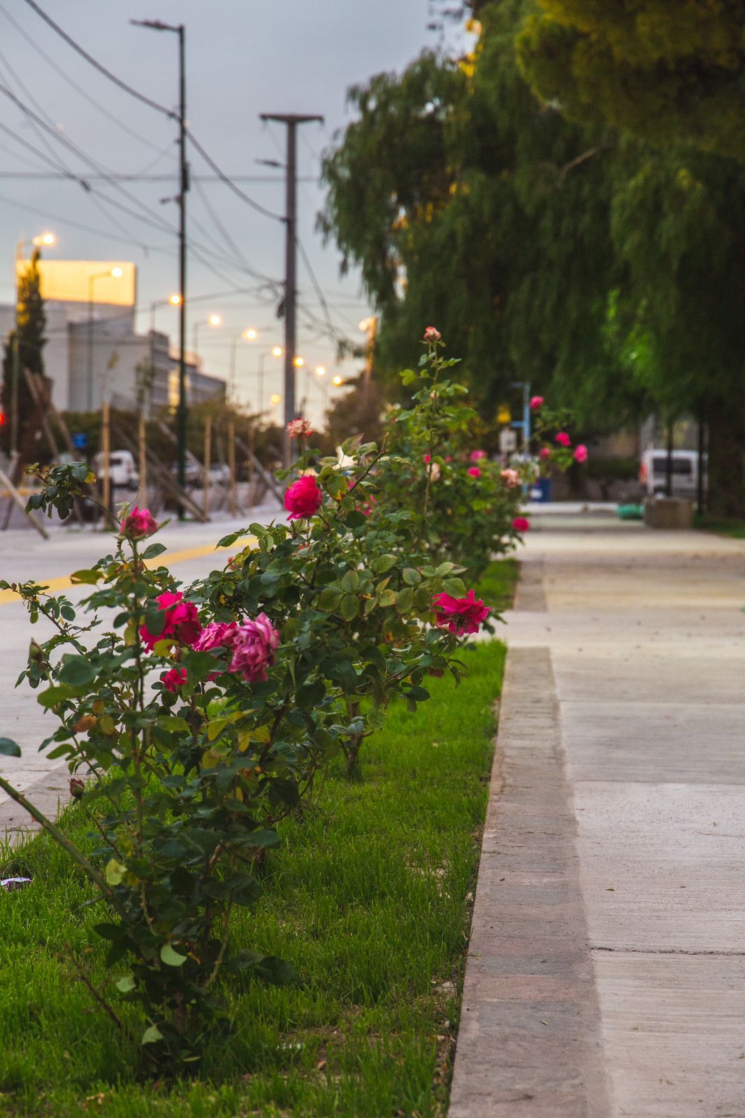 FOTOS | Inauguran la remodelación completa de la Plaza central de ...