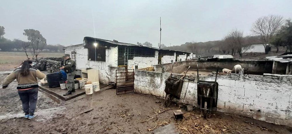 Rescataron a 403 víctimas de trata de personas con fines de explotación ...