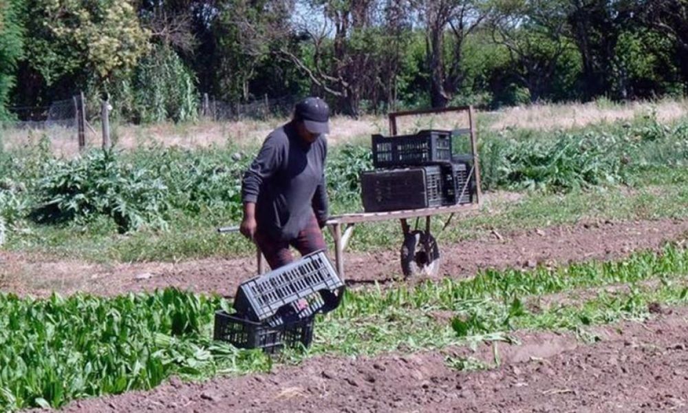 Rescataron a siete víctimas de explotación laboral en establecimientos ...