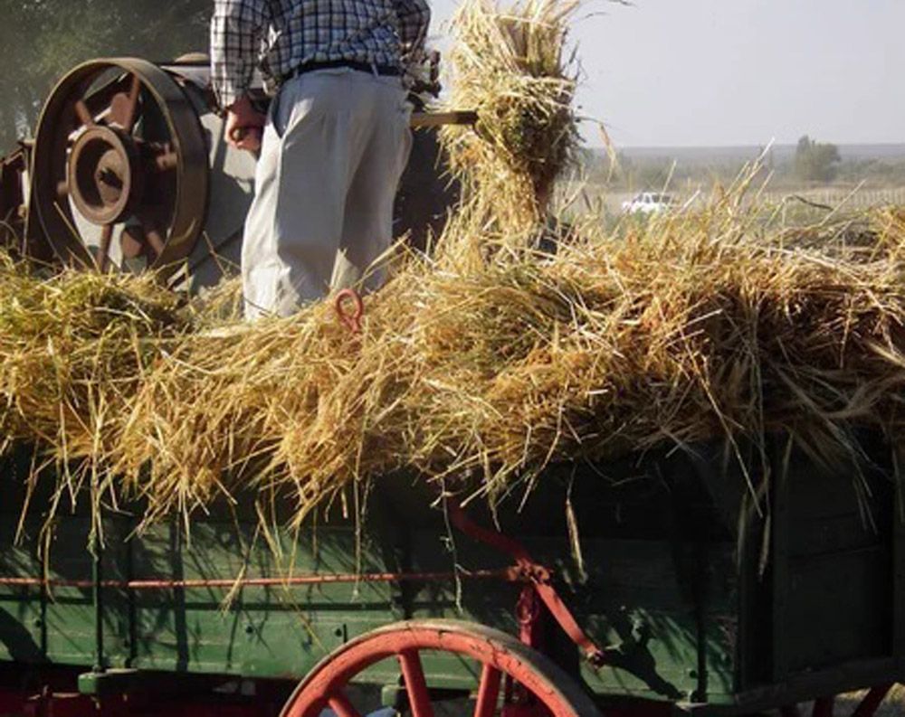 Cultura galesa e historia en “Horizonte Libre”