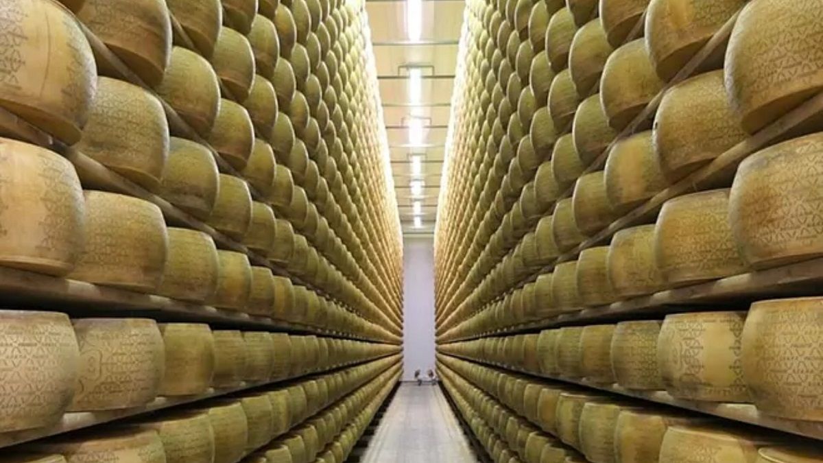 Un hombre murió aplastado por ruedas de queso en Italia - Radio 3 ... Un hombre murió aplastado por ruedas de queso en Italia - Radio 3 ...