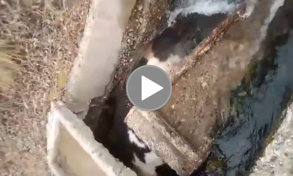 ¿Cuáles son los siete beneficios de beber agua? - Radio 3 Cadena Patagonia