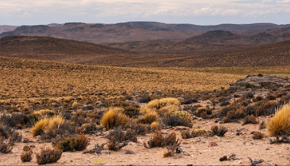Turismo: "La meseta y la estepa son el diamante en bruto de Chubut ...