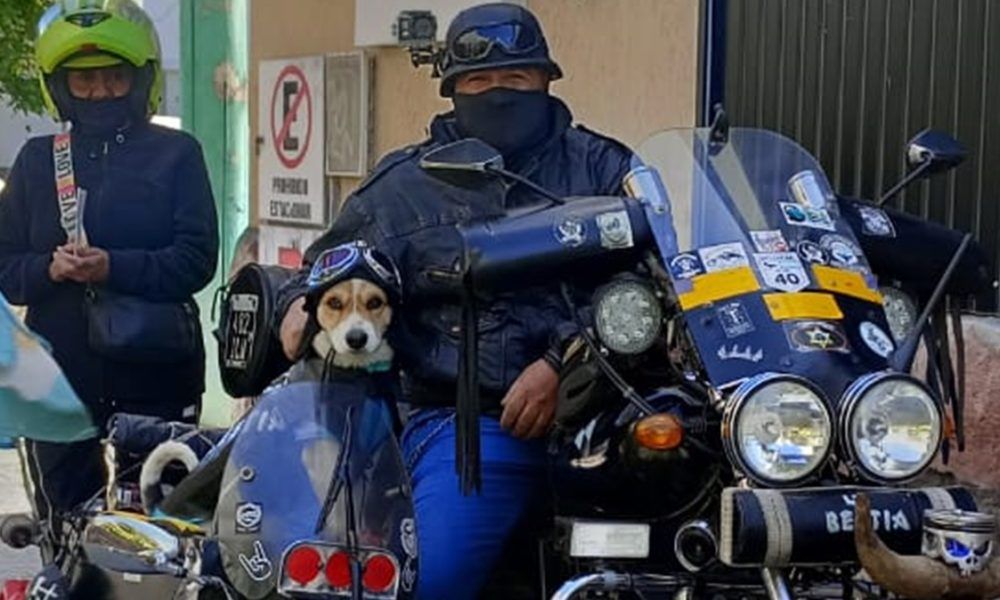 ¿Lo viste?: Milo, el perro chubutense que viaja en moto - Radio 3 ...