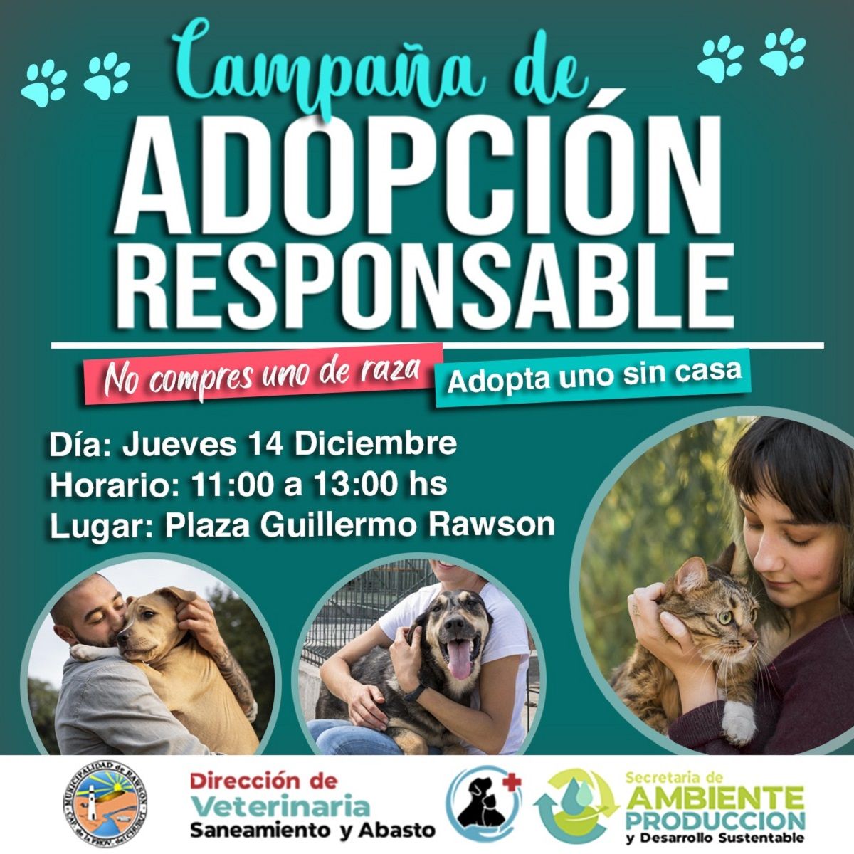 Se realizará una campaña de adopción responsable de mascotas en la ...