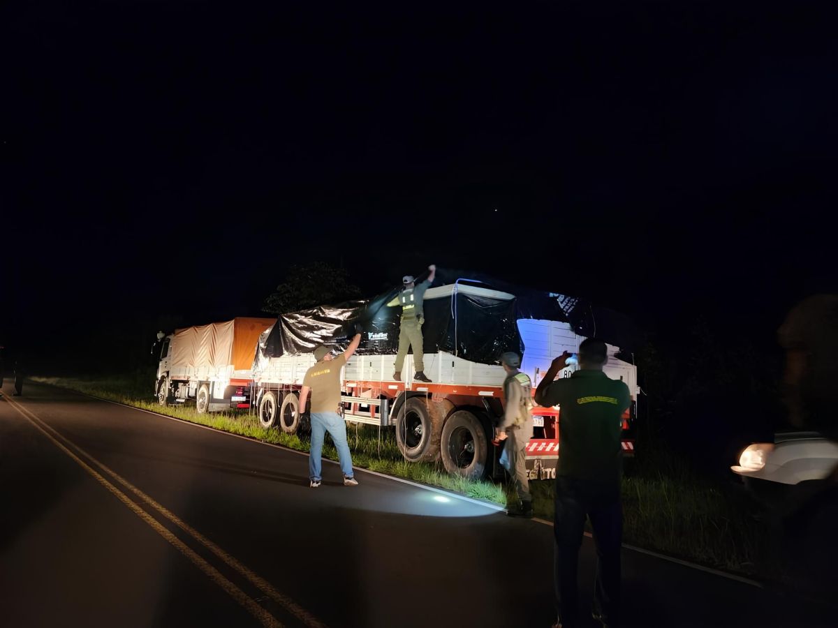 Secuestraron Más De 1 500 Kilos De Marihuana En Un Camión Con Acoplado