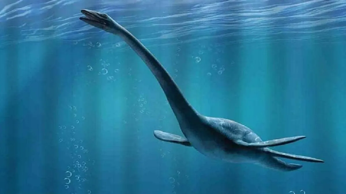 Descubrieron el reptil marino de cuello largo más antiguo del mundo ...