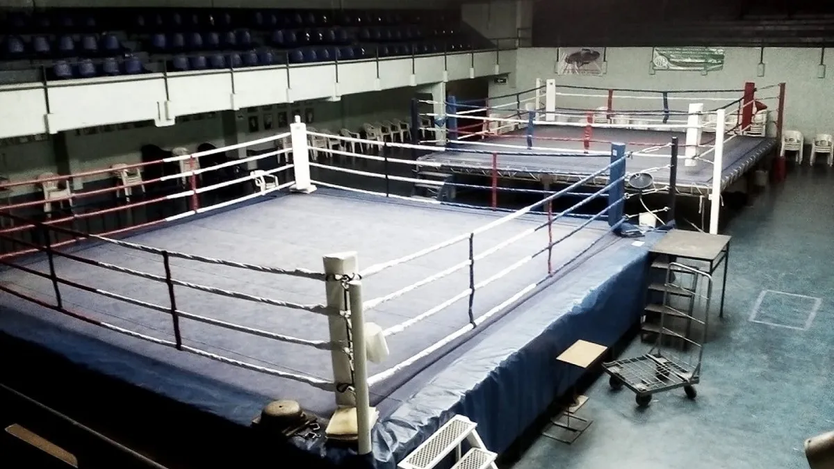 Tres títulos en juego en la Federación Argentina de Box - Radio 3 ...