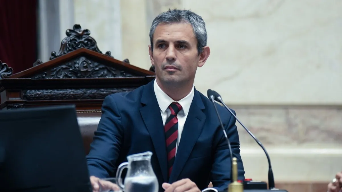 Condicionan las sesiones extraordinarias a reelección de Martín Menem ...