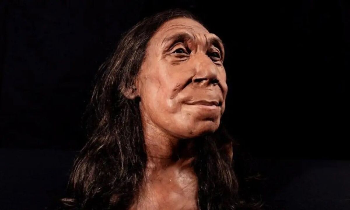 Los neandertales y los humanos modernos compartieron historia - Radio 3 ...