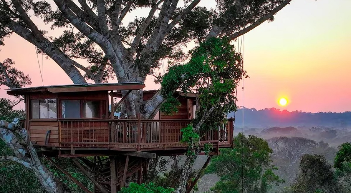 Así es la casa en el árbol más alta del Amazonas - Radio 3 Cadena Patagonia