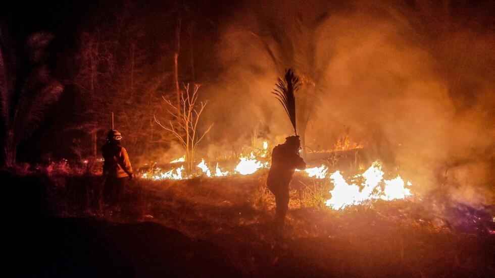 Más de 39 incendios activos arrasan comunidades y ecosistemas en ...