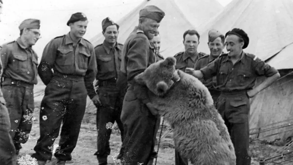 Wojtek, el oso que se convirtió en héroe de guerra - Radio 3 Cadena ...