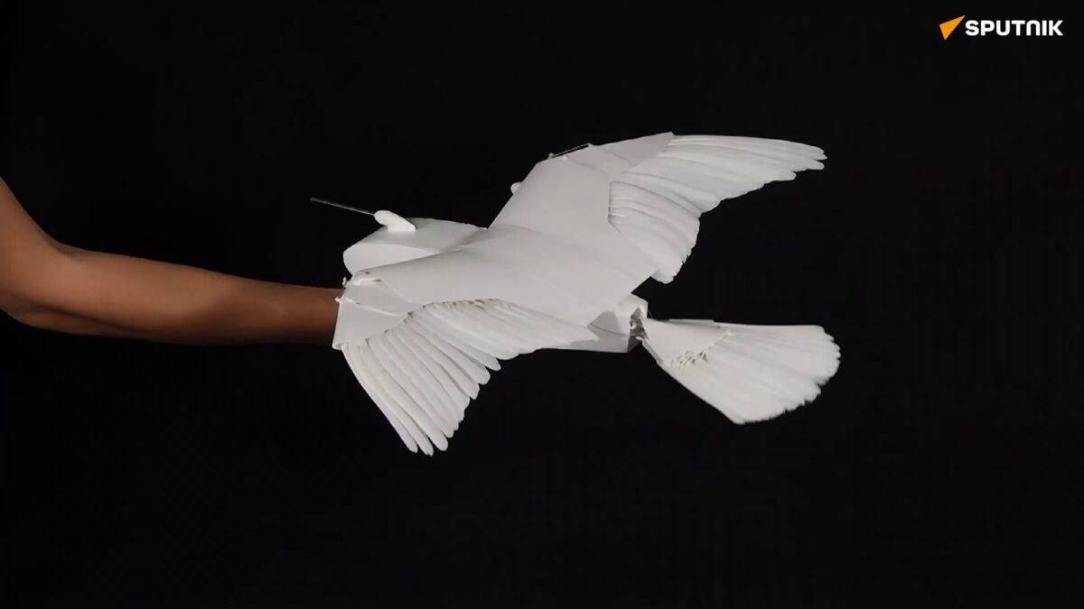 PigeonBot II: el robot que imita a los pájaros para revolucionar la ...