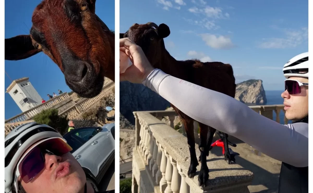 Franco Colapinto y su “selfie goat” se vuelven virales en redes - Radio ...