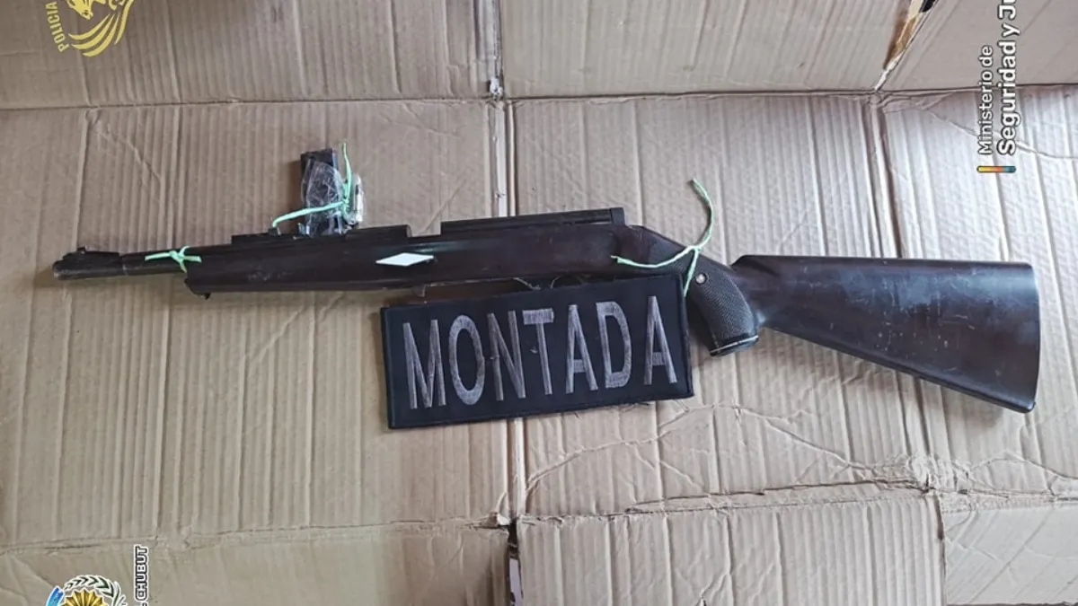 Secuestran un arma y carneros en controles rurales - Radio 3 Cadena ...