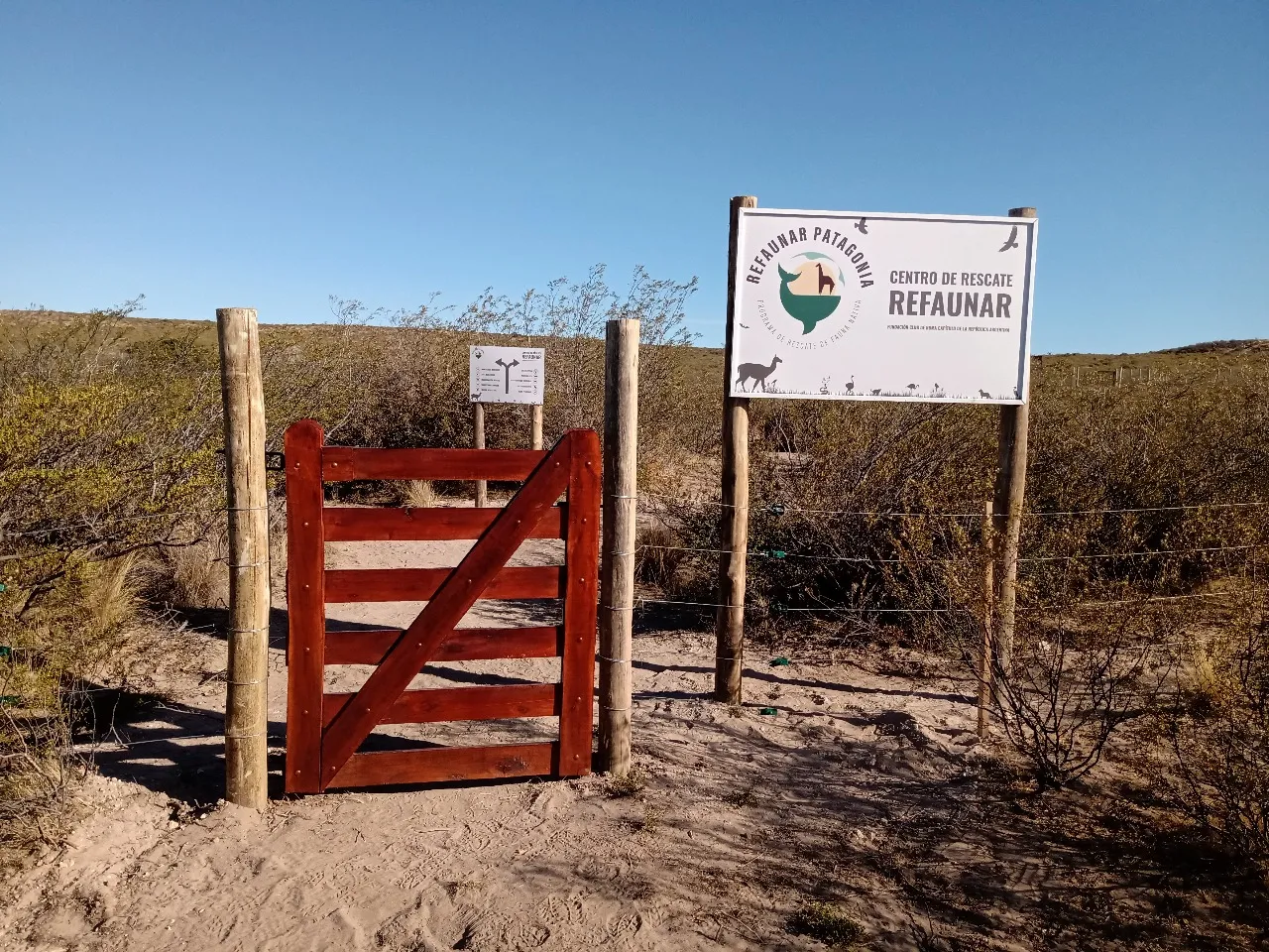 Chubut inaugura el primer Centro de Rescate de Fauna Silvestre de la ...